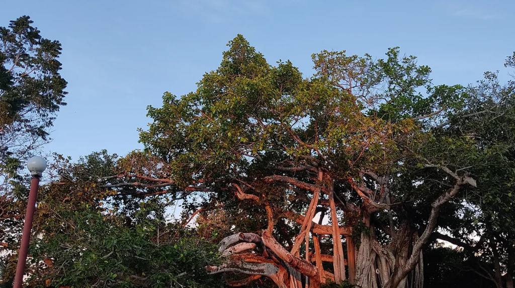Ejercicios Espirituales Ignacianos 4 días - CIRE